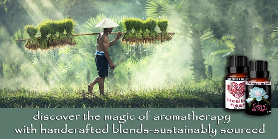 Discover the Magic of Aromatherapy with Our Handcrafted Oils and Blends ...